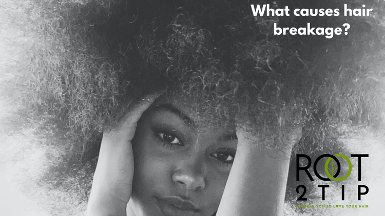 Reason of Hair Breakage and How To Treat It: Top 9 – Root2tip